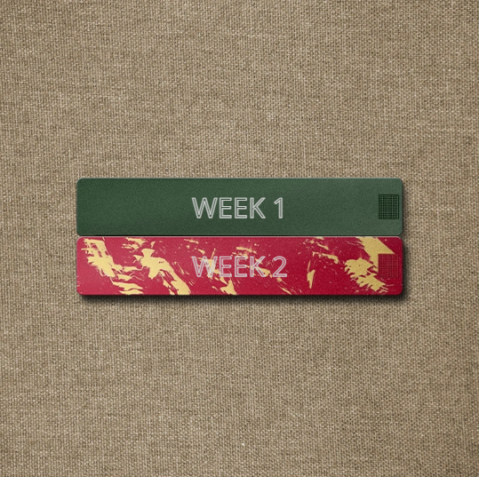 2-Week Case 2.0 by Ikigai Cases